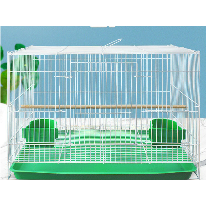 "Local Stock" Pet cage Bird Cage Birds including Bird Nests Swings and ...