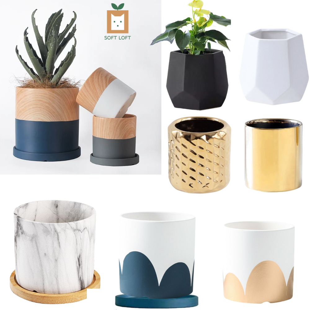 plant pot - Prices and Deals - May 2026 | Shopee Singapore
