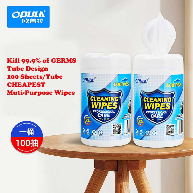 Multi-purpose Disinfecting Wet Wipes 100sheets pine | Shopee Singapore