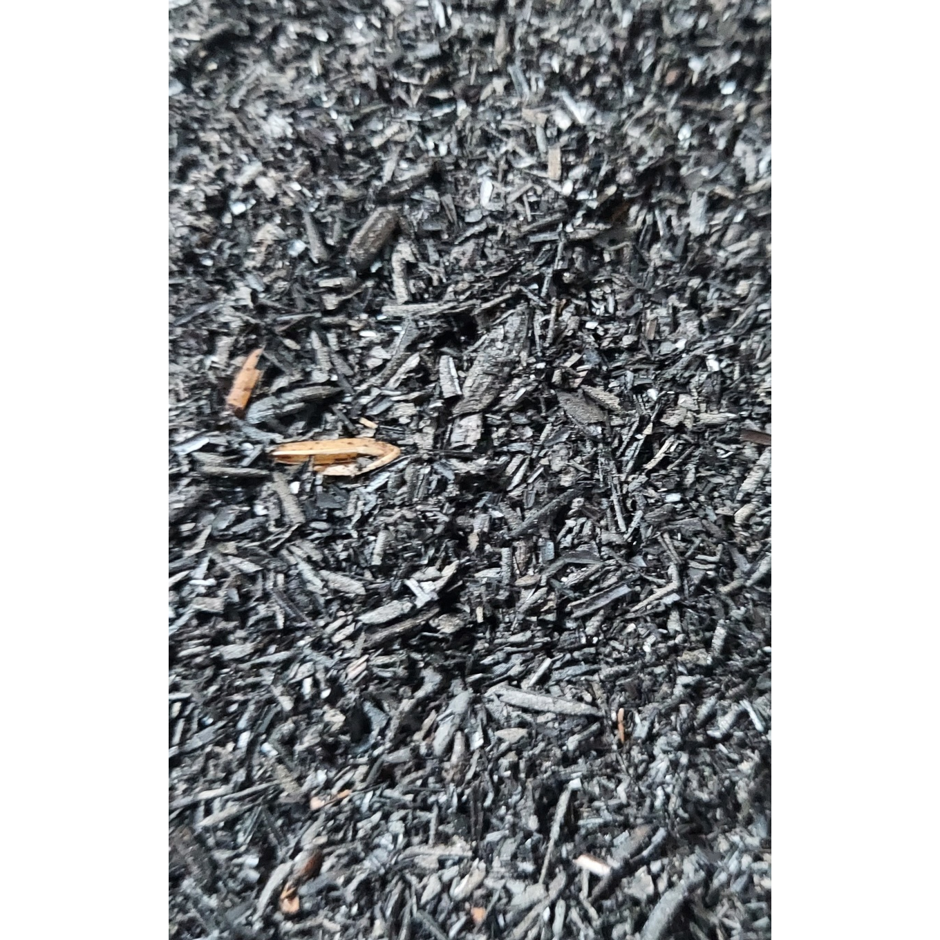 4L Burnt Rice Husk Growing Medium Charcoal Rice Husk Plant Moisture ...
