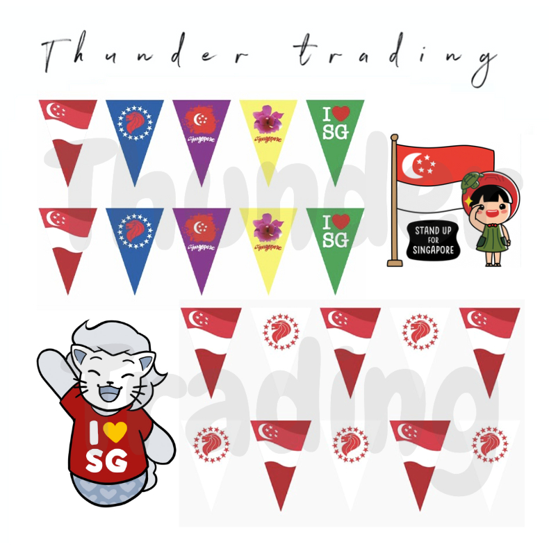 Singapore NDP Triangle Flag Banner Bunting Red & White / Colourful ...