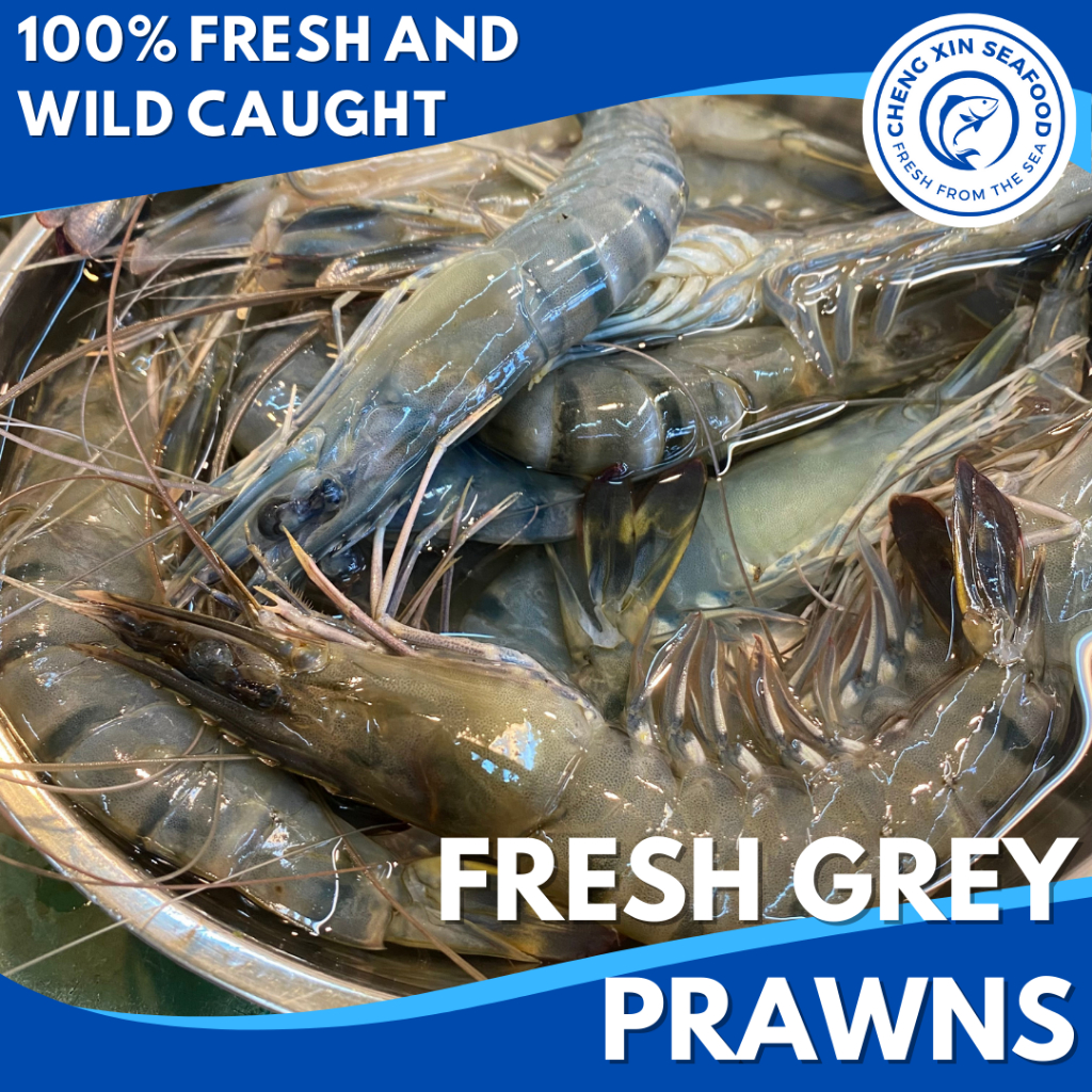 [Cheng Xin Seafood] Fresh Glass Prawns 灰虾 (500g) | Shopee Singapore