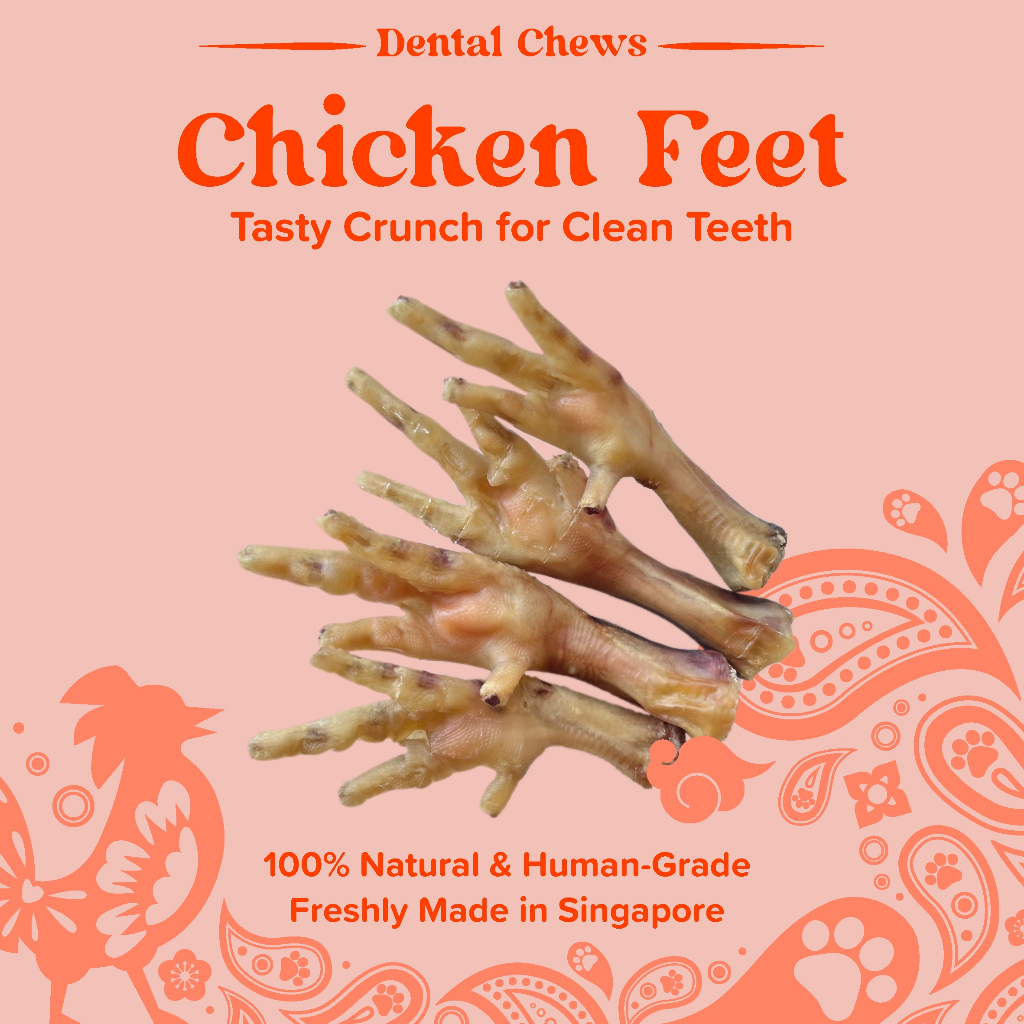 Furmily Chicken Feet Chews [Dog Treats] 100% Natural, Freshly Made ...
