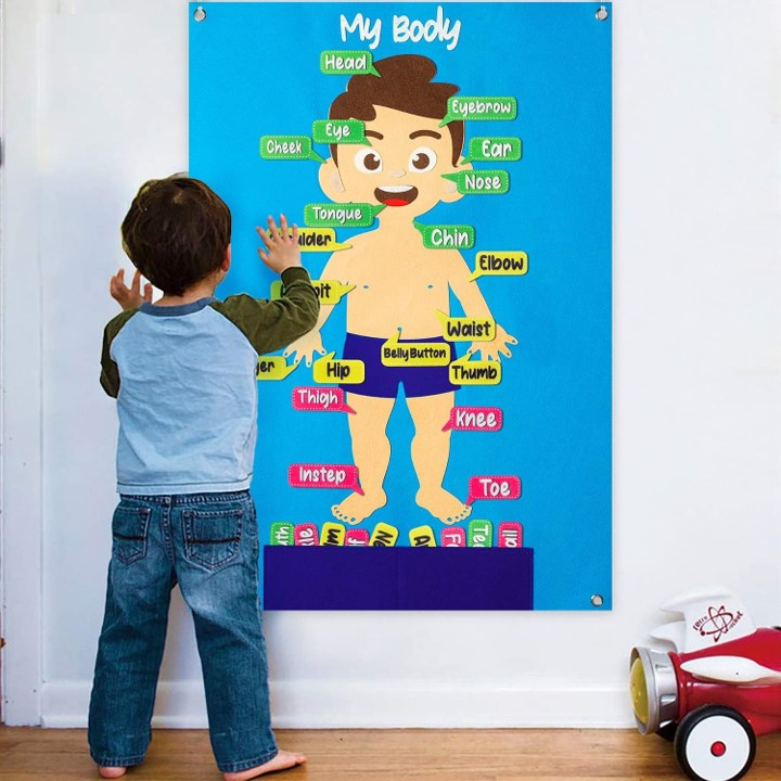 My Body Interactive Educational Poster Body Parts Learning Felt Body ...