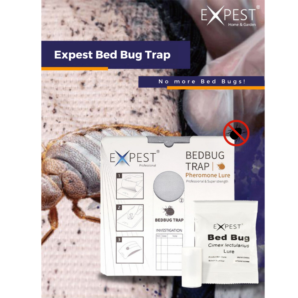 Expest Bed Bug Early Detection Pheromone Trap Shopee Singapore