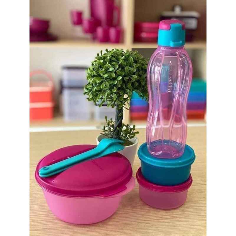 Tupperware Safe2Go Set (Eco bottle+ Microwave Reheatable Lunch Bowl ...