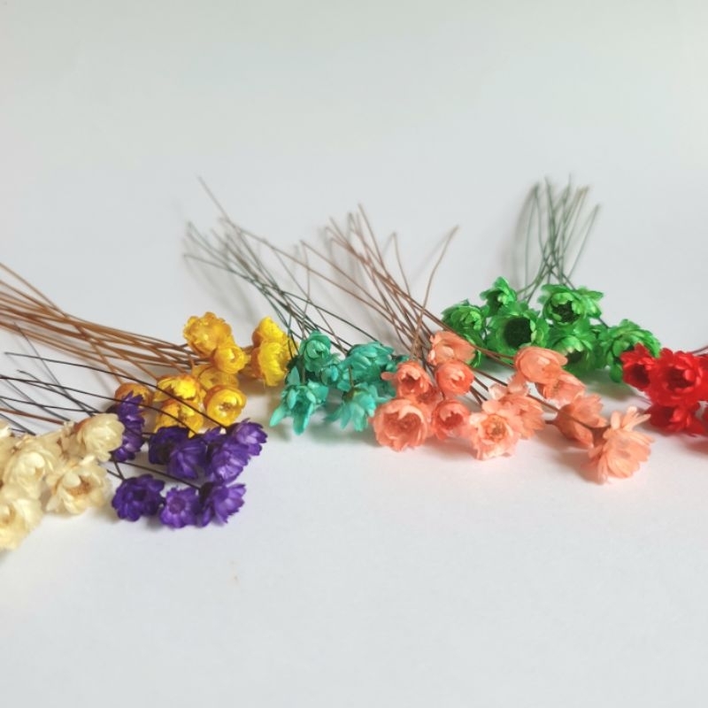 [SG Ready Stock] Preserved Flowers Mini Dried Flowers Terrarium DIY ...