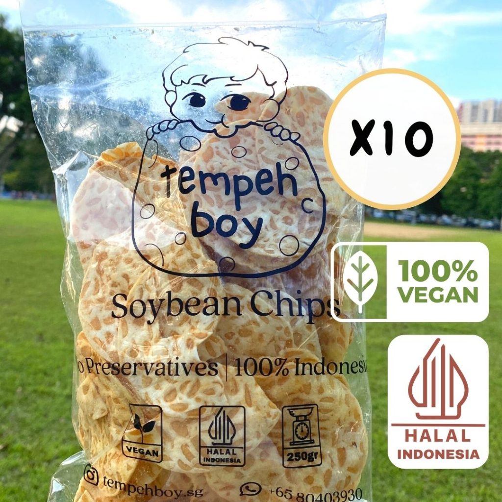 Famous Tempeh Boy Tempeh Chips (10 x 250g) - Halal/ Vegan/ Healthy ...
