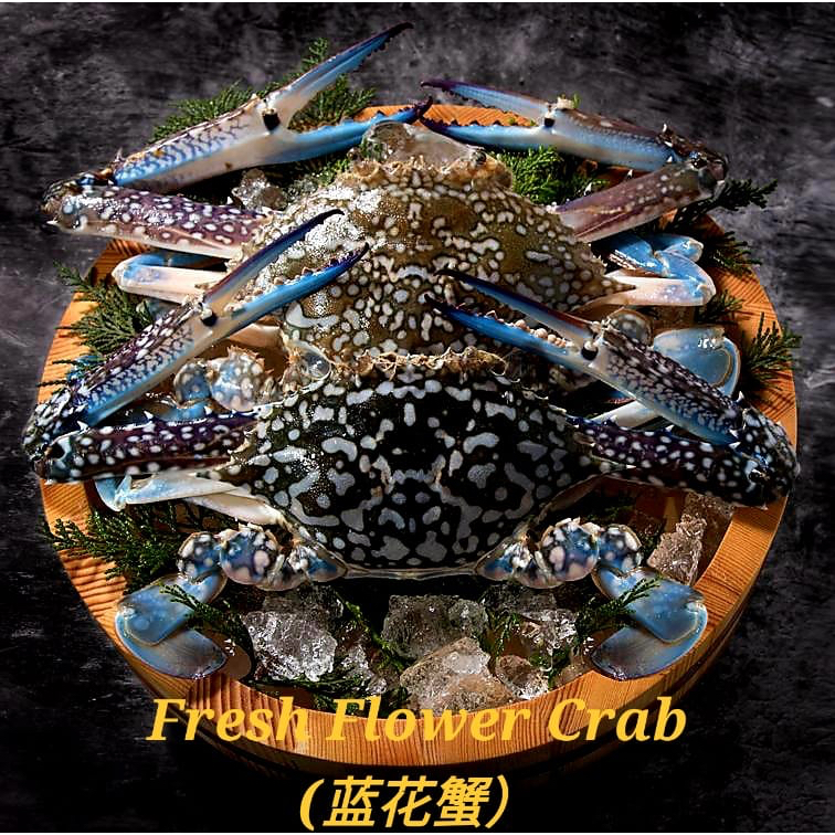Fresh Flower Crab (1kg 3-4pc) **Kanzen Seafood** | Shopee Singapore