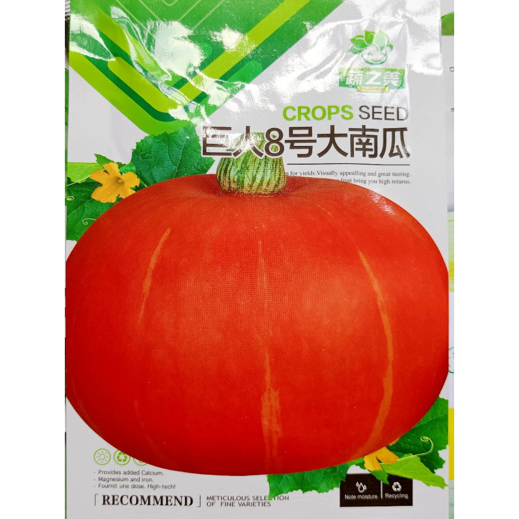 BUY 1 GET 1 FREEHardbound pumpkin seeds have a high germination rate ...
