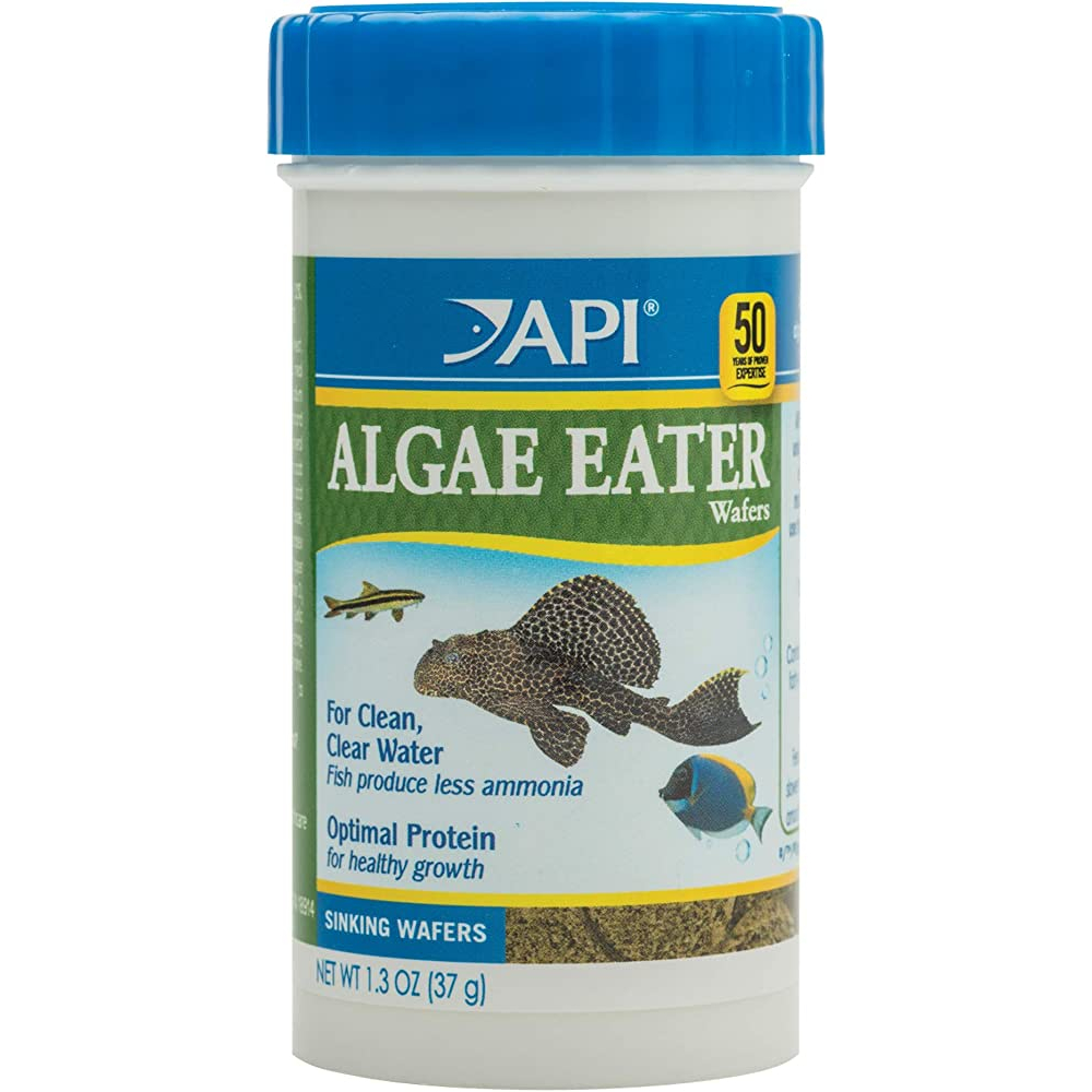 API ALGAE EATER WAFERS: Sinking Wafers | Shopee Singapore