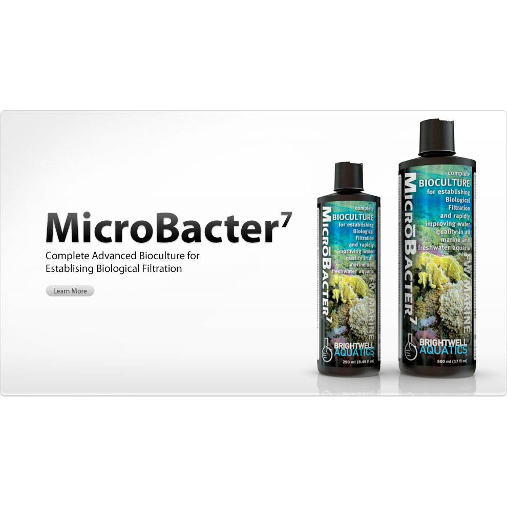 BRIGHTWELL AQUATICS MicroBacter 7 250ML | Shopee Singapore