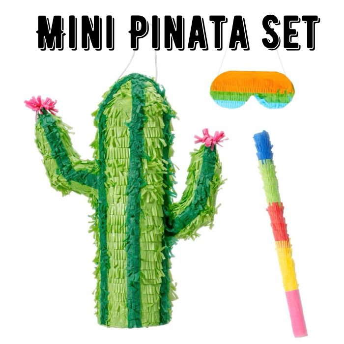 [SG Stock] Mini Green Cactus Mexican Theme Pinata Set w Buster and ...