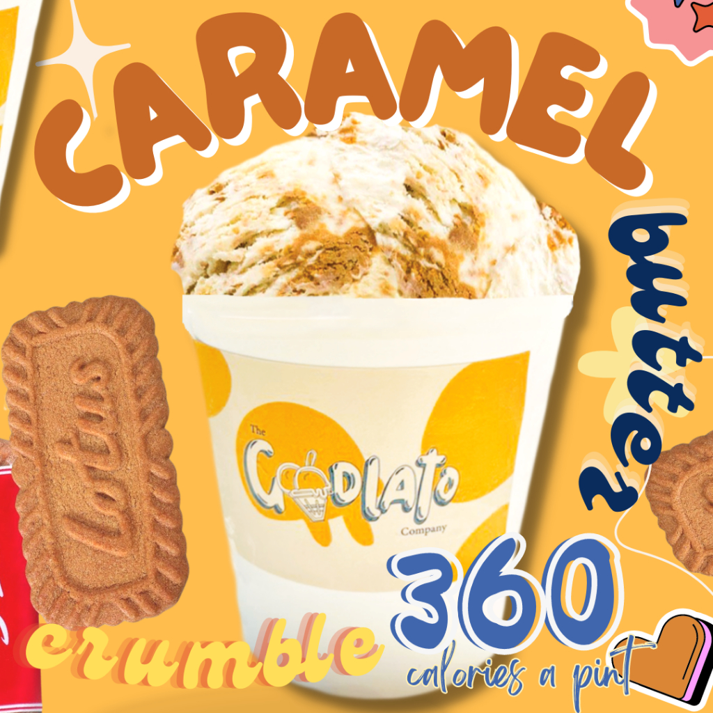 360 kcal/pint [No Sugar Added, High Protein] Goodlato Ice Cream Pint ...