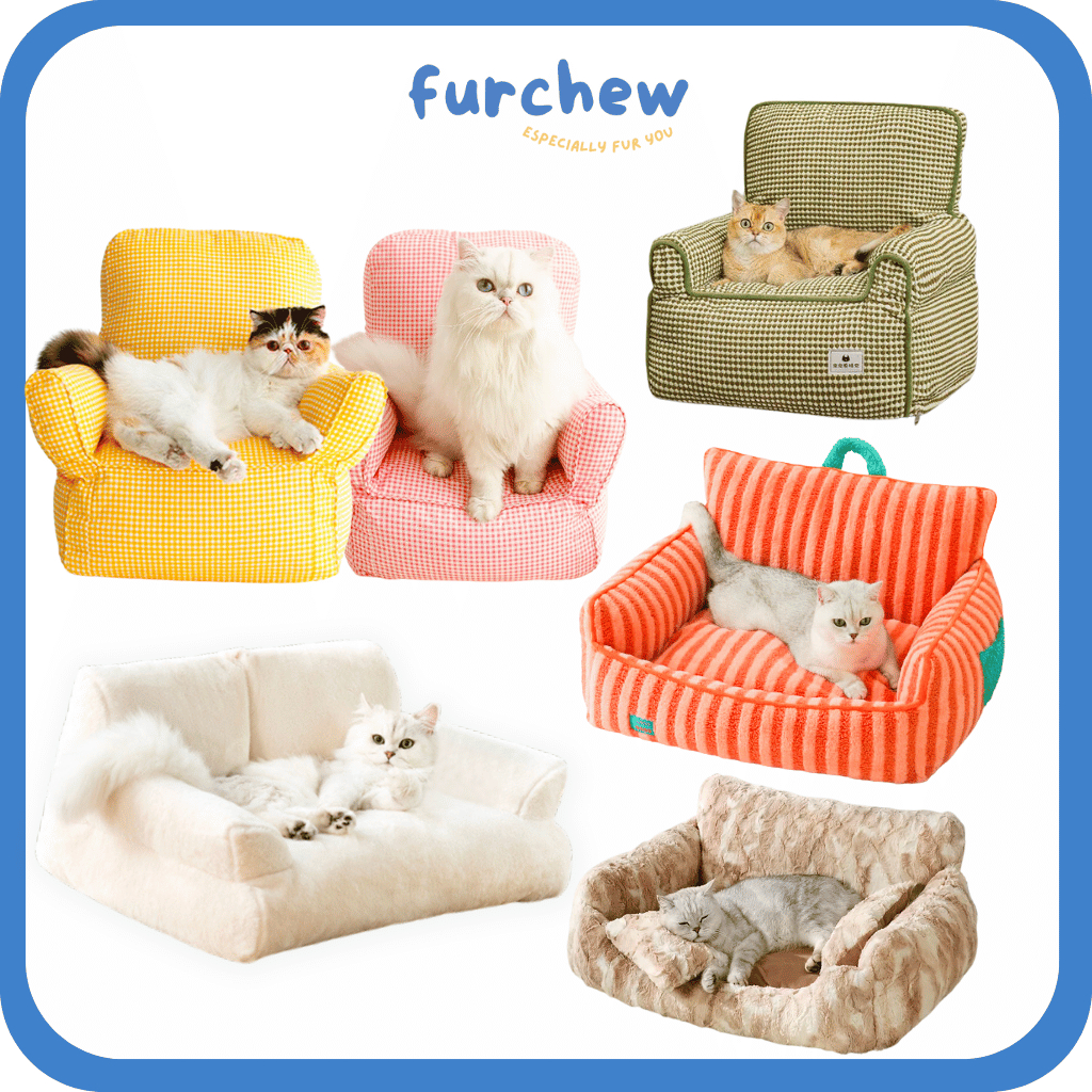 [SG] Adorable Pet Mini Sofa Seat Bed Couch for Cats Kittens & Small ...