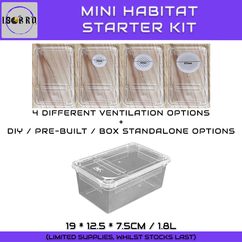 Mini Isopod Habitat Tank Starter Kit w/ Vents & Split Cover Lid — (For ...