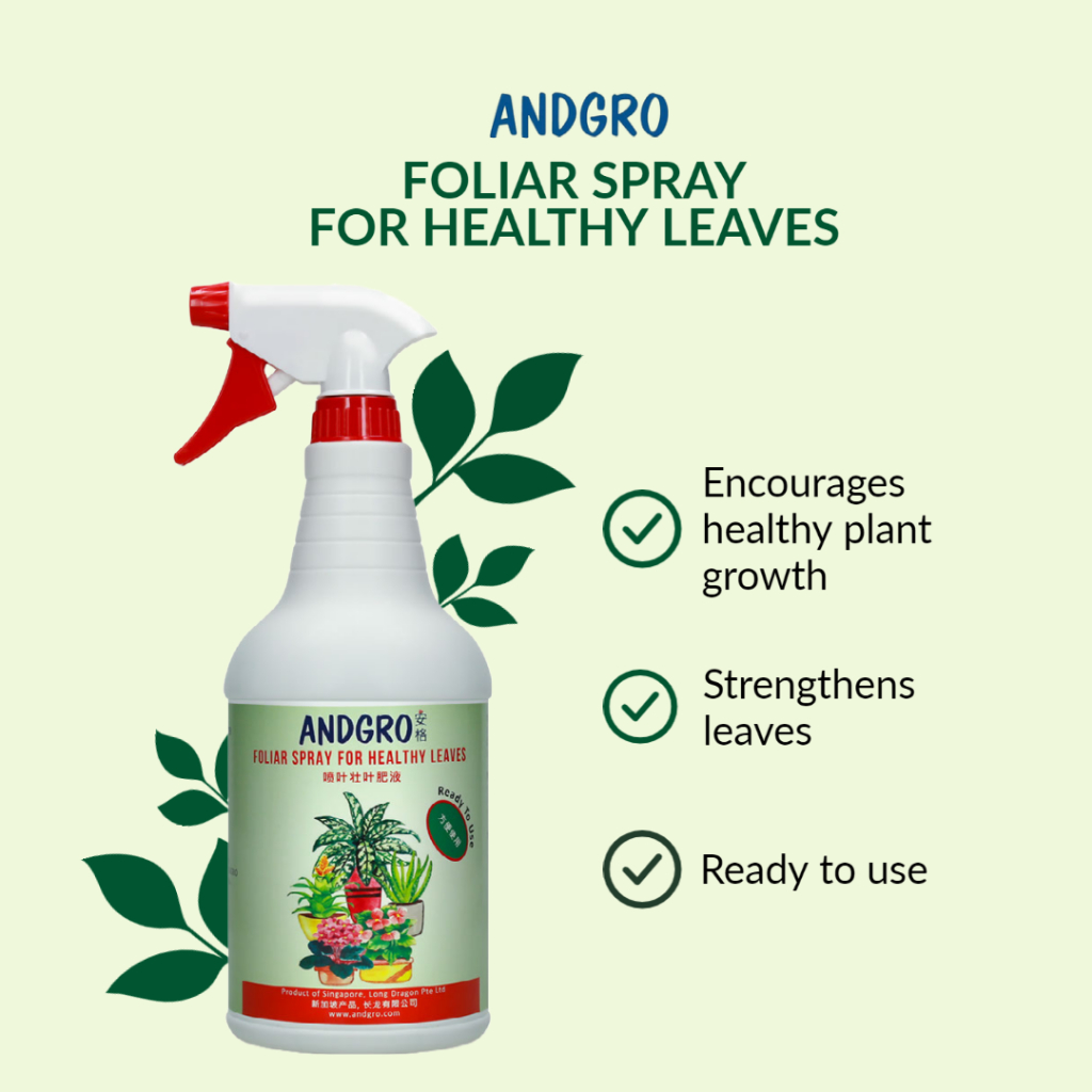 ANDGRO Foliar Spray for Healthy Leaves (1000ml) | Shopee Singapore