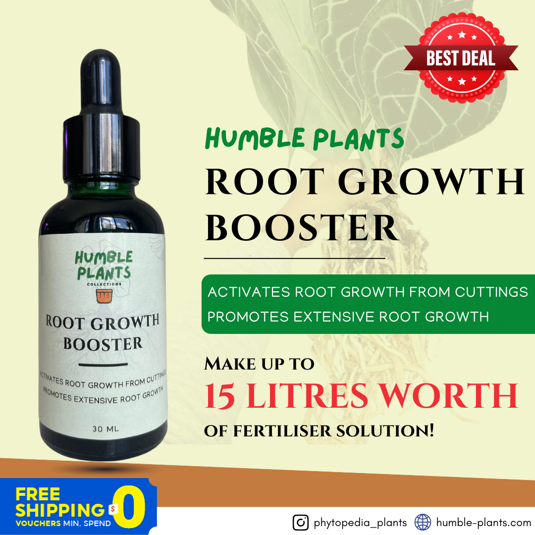 Root Growth Booster Fertiliser for Aroid and General Houseplants ...
