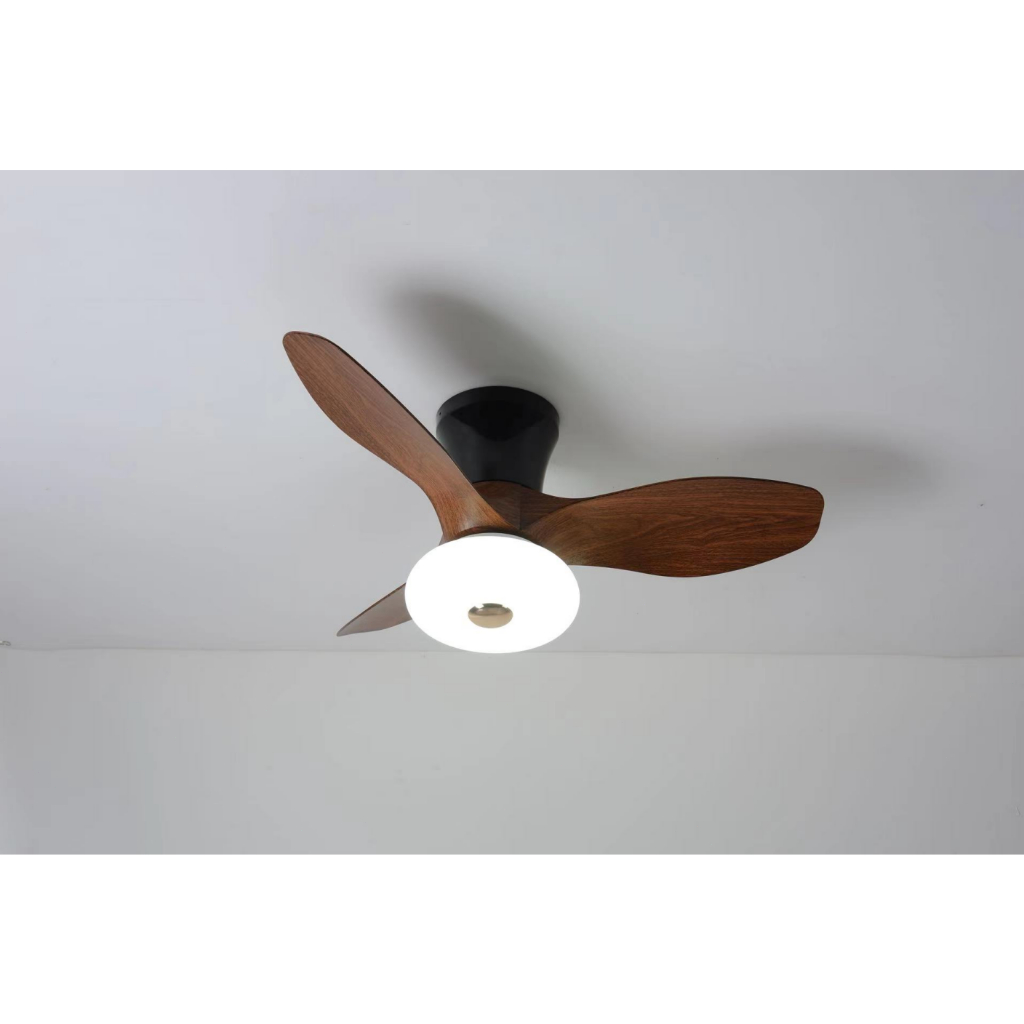 Ceiling Lamp Ceiling Fan Bedroom Variable Speed Fan Ceiling Fan Ceiling ...