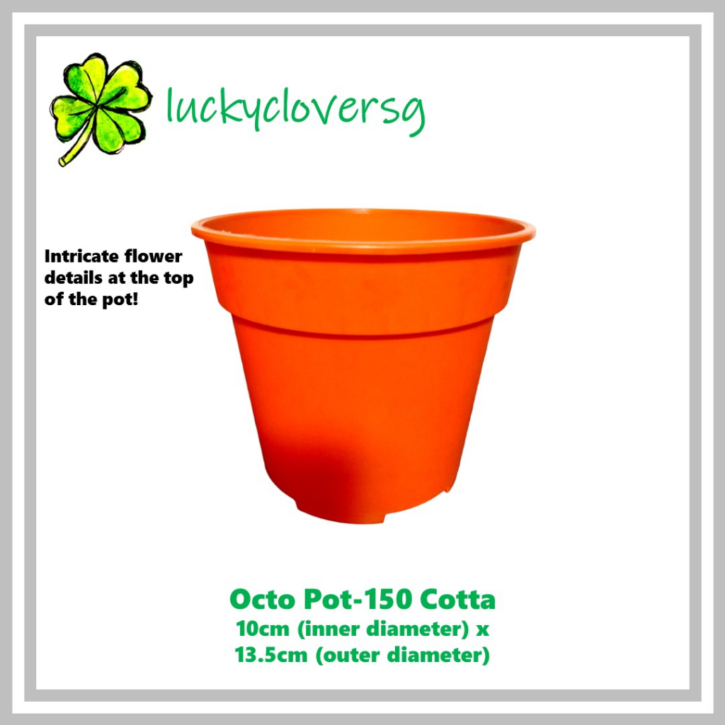 Pots for plants / Garden / Baba Soffy / Octo-Pot / Gardening / Pot ...