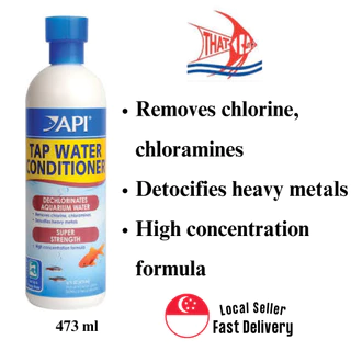 That Aquarium, Online Shop | Shopee Singapore