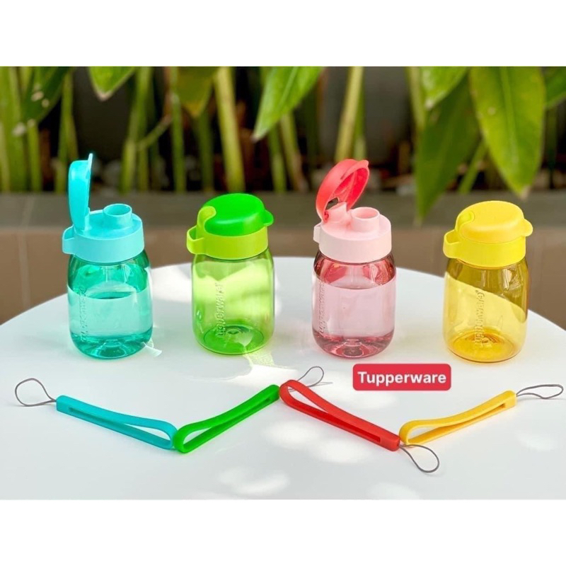Tupperware 350ml Cute 2 Go Limited Products | Shopee Singapore
