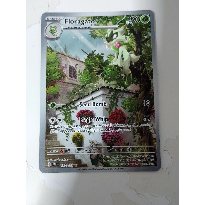 Pokemon floragato illustration rare paldea evolved card | Shopee Singapore