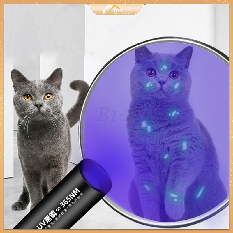 365nm UV Wood's Lamp Ultraviolet Lamp Teasing Cat Light Black Light Pet ...
