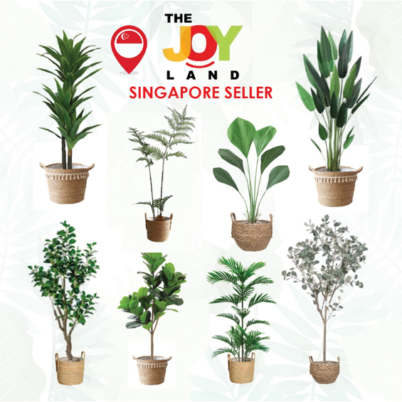 [SG] Artificial Bird of Paradise Plant Traveller's Palm Home Decor Artificial Plant Faux Plant ...