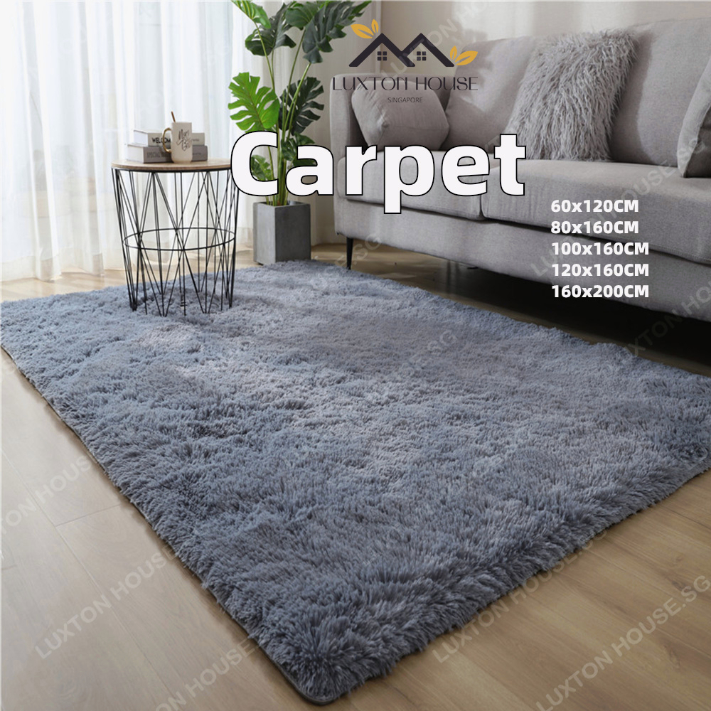 {SG} Ultra Soft Luxury Fluffy Shag Area Rug for Living Room Floor ...