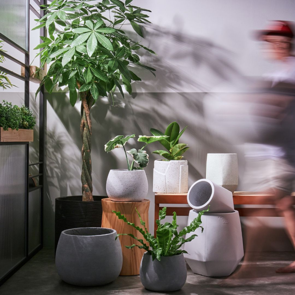 Pylota Outdoor Concrete Flower Pot | Big Planter Flower Pot | Outdoor ...