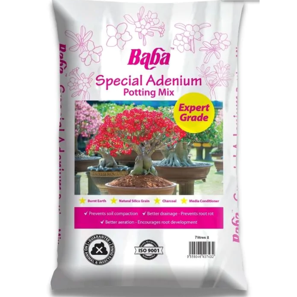 7 Litres BABA Special Adenium Expert Grade Potting Mix Meaty Stemmed ...