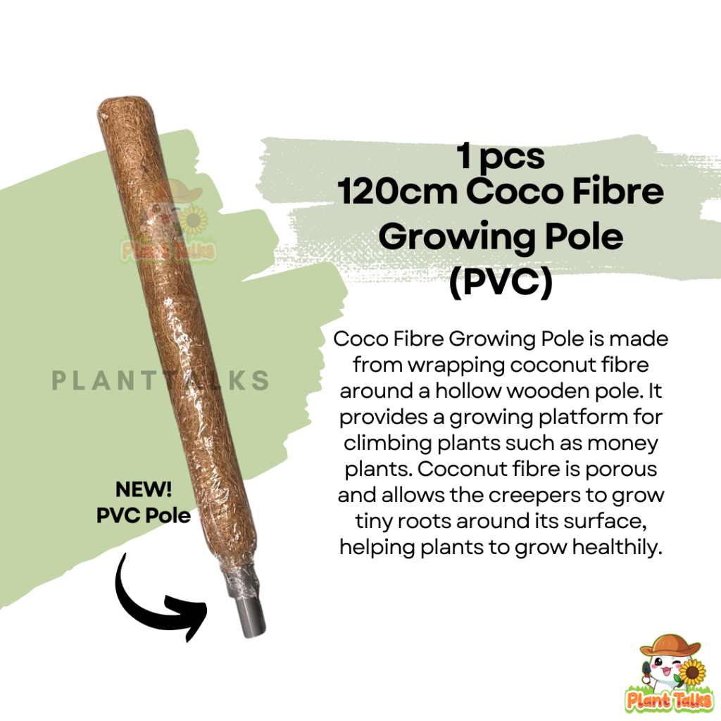 Plant Talks Coco Coir Grow Pole Honeycomb Moss Climbing Pole Plant ...