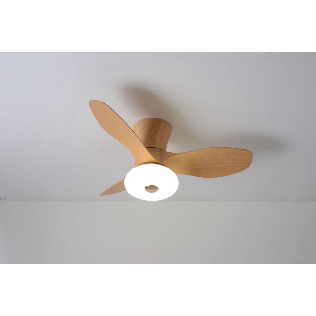 Ceiling Lamp Ceiling Fan Bedroom Variable Speed Fan Ceiling Fan Ceiling ...