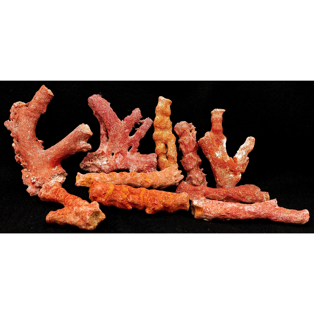 Natural Raw Red Coral | Shopee Singapore