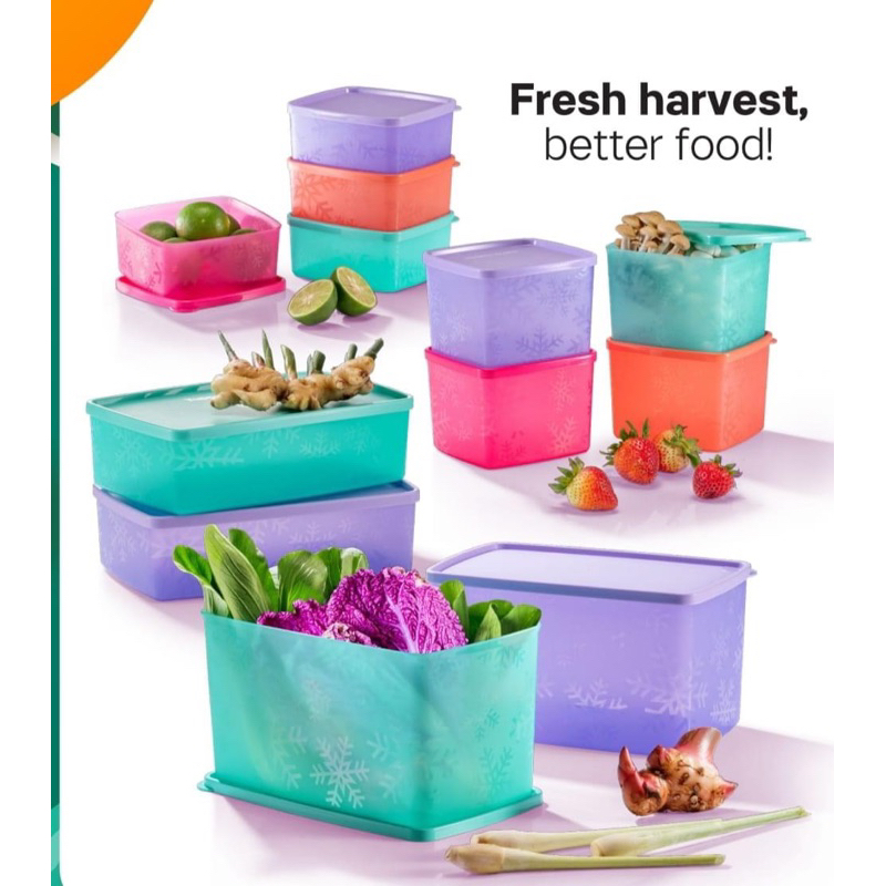 Tupperware Snowflake limited Edition(400ml / 800ml / 1.3L/2.8L ...