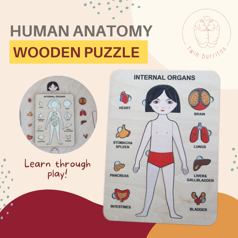 Human Body Anatomy Internal Organs Wooden Puzzle | Montessori | Shopee ...