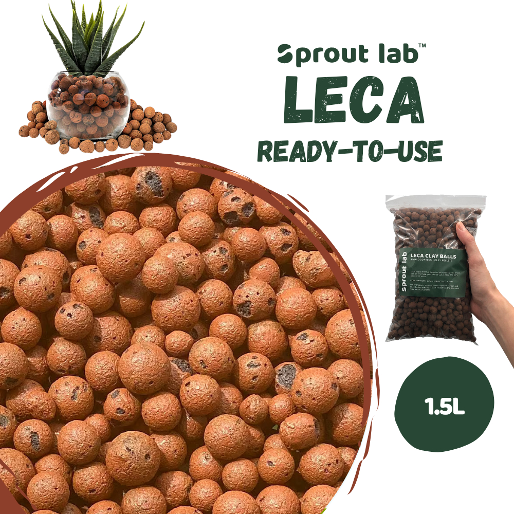 Sprout lab | Premium Heavy Leca Balls 1.5L (S,M) Clay Balls | Shopee ...
