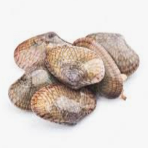 Golden Palm Frozen Clam - Lala 500g- 花拉拉 500g | Shopee Singapore