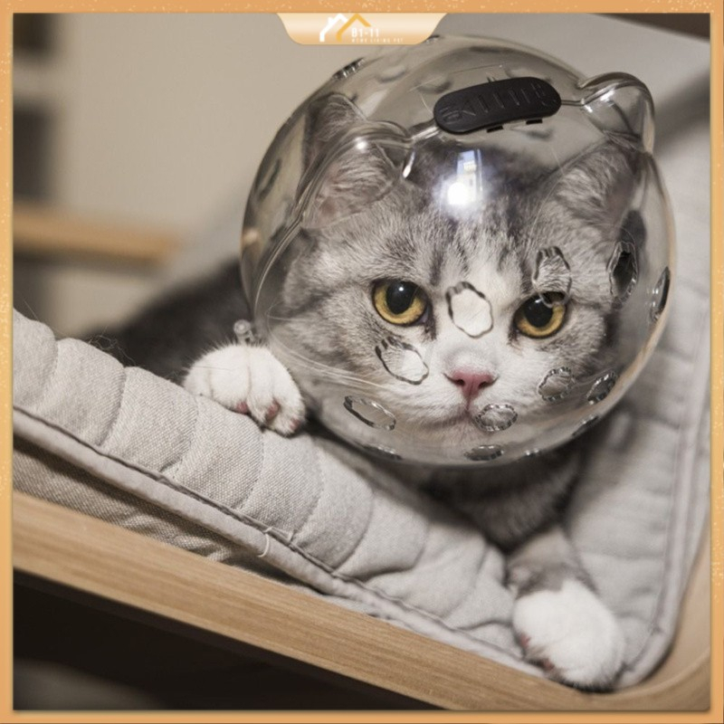 Cat Helmet Breathable Head Cover Anti-Bite Muzzles Collar Prevent ...
