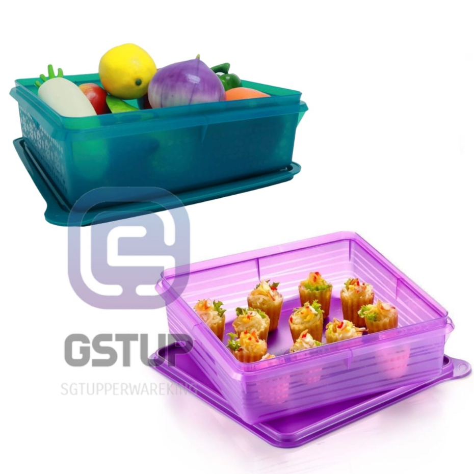 Tupperware B2B Snack Stor 2.9L | Shopee Singapore