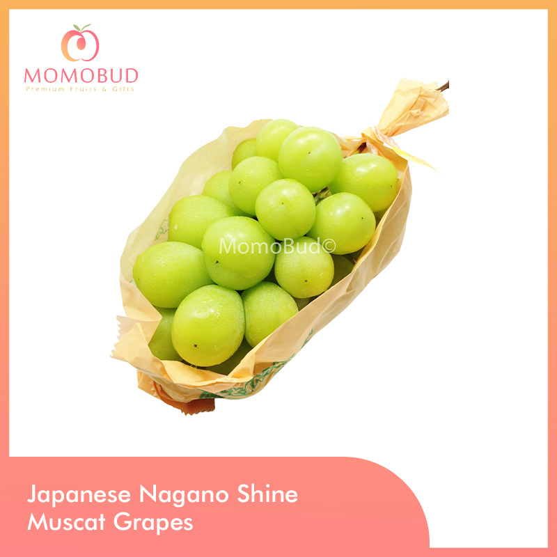 Japanese Nagano Shine Muscat Grapes | Shopee Singapore