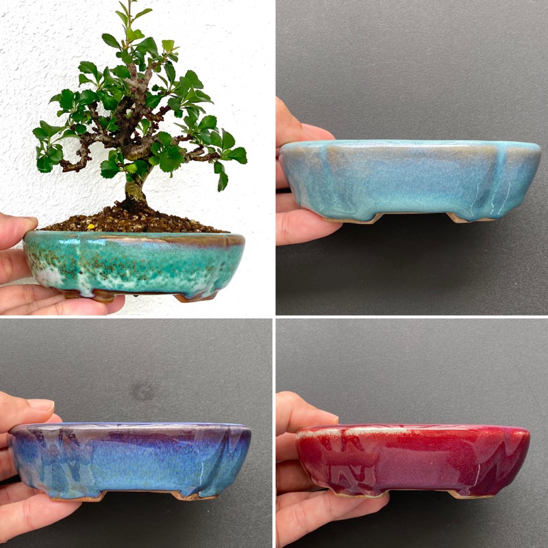 Bonsai Pot / Ceramic Pot/ Flower Pot - Pottery [SGP/Local Seller ...