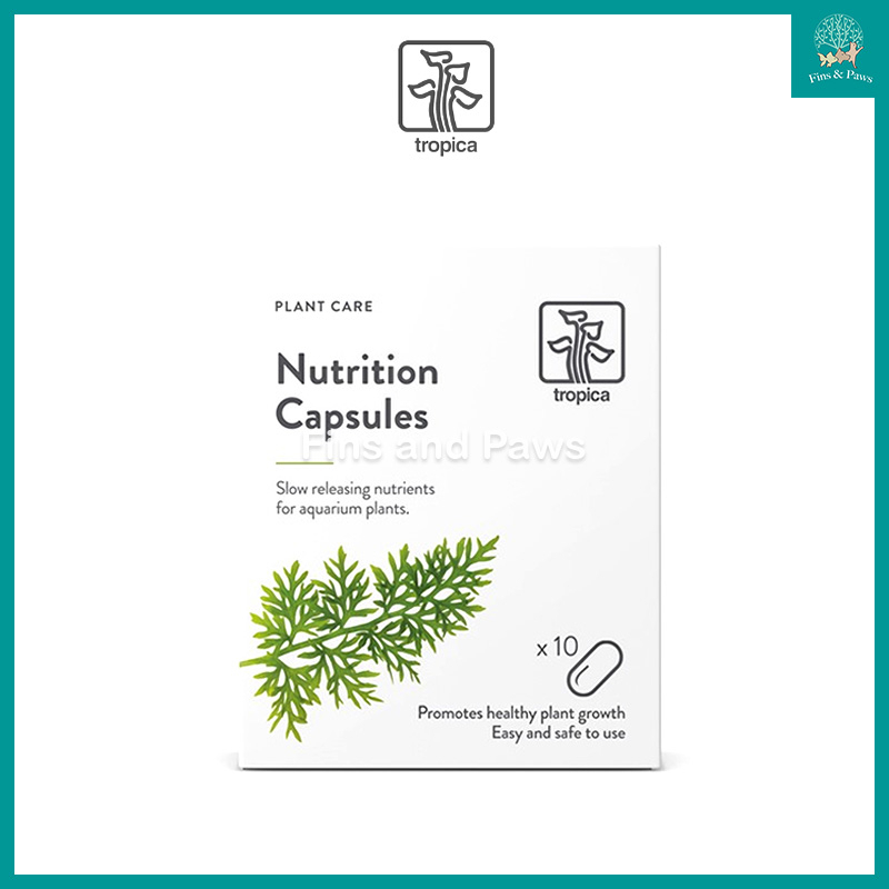[Tropica] Nutrition Capsules Root Tabs 10 pcs for all Aquarium Planted ...