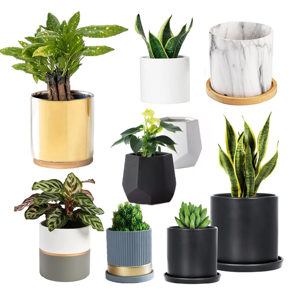 Large Ceramic Pot Planter Pot Succulent Plant Pot Indoor Outdoor ...