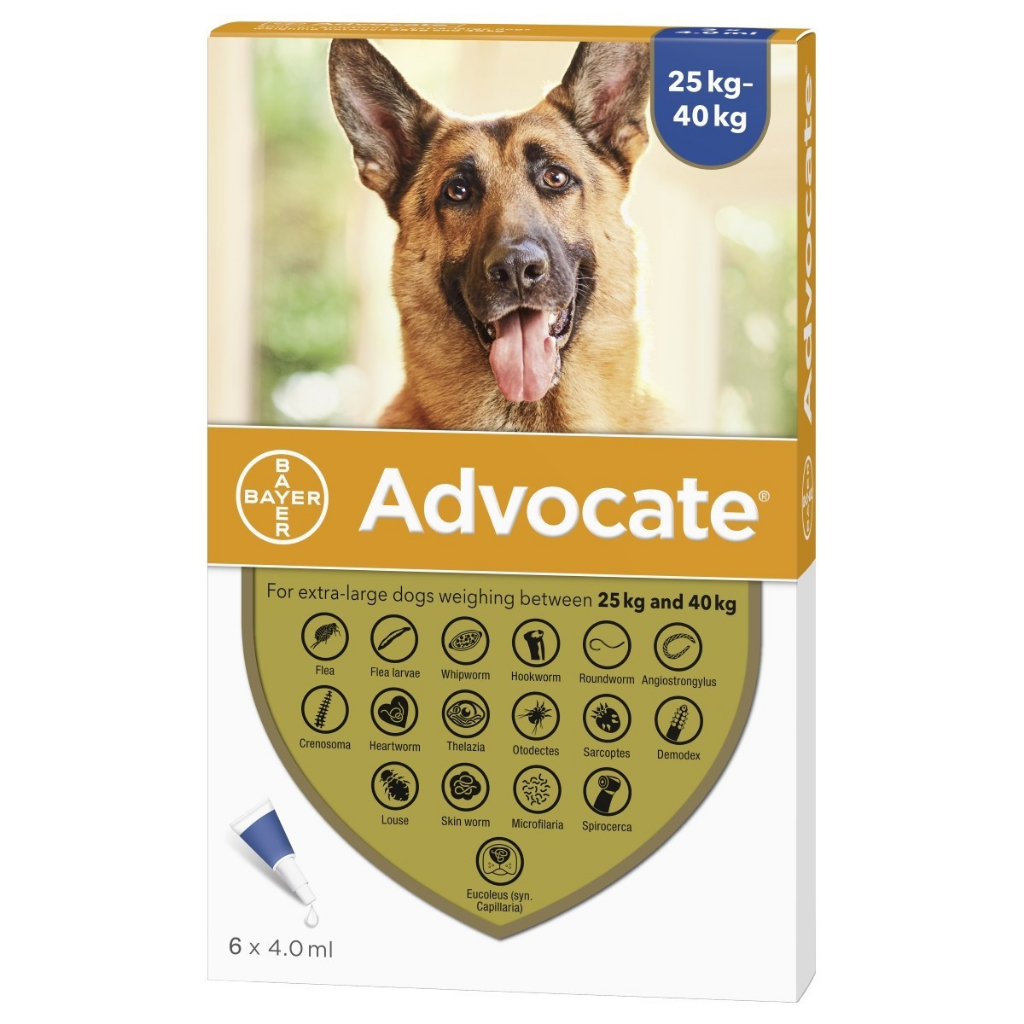Bayer Advocate Spot on Solution for Extra-Large Dogs 25kg to 40kg ...