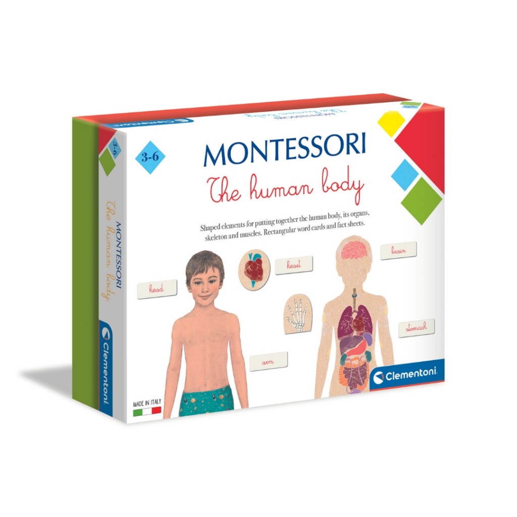 Montessori - Human Body | STEM Educational Science Toys For Kids ...