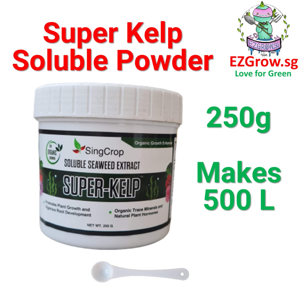 250g Super Kelp Soluble Seaweed Extract Powder Fertiliser Enhancer | SG ...