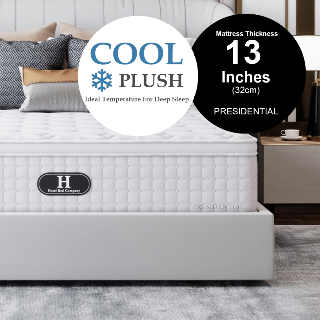 Hotel Luxury Mattress Euro Top Spring Bed - Single/Super Single/Queen ...