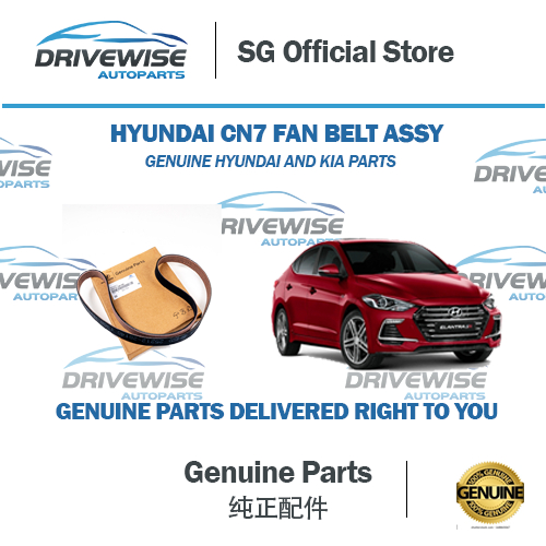Hyundai Elantra AD Genuine Fan Belt/Genuine Hyundai Fan Belt/Drivewise ...
